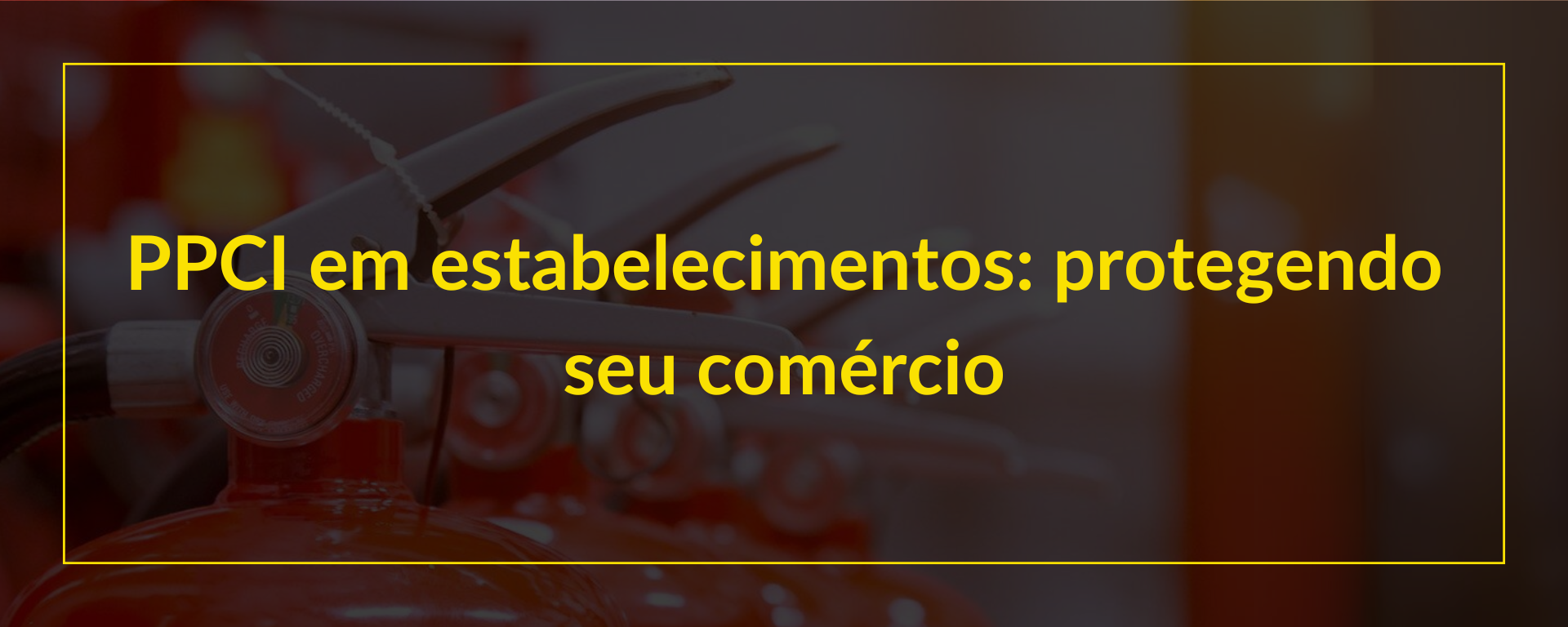 PPCI em Estabelecimentos: Protegendo seu Comércio